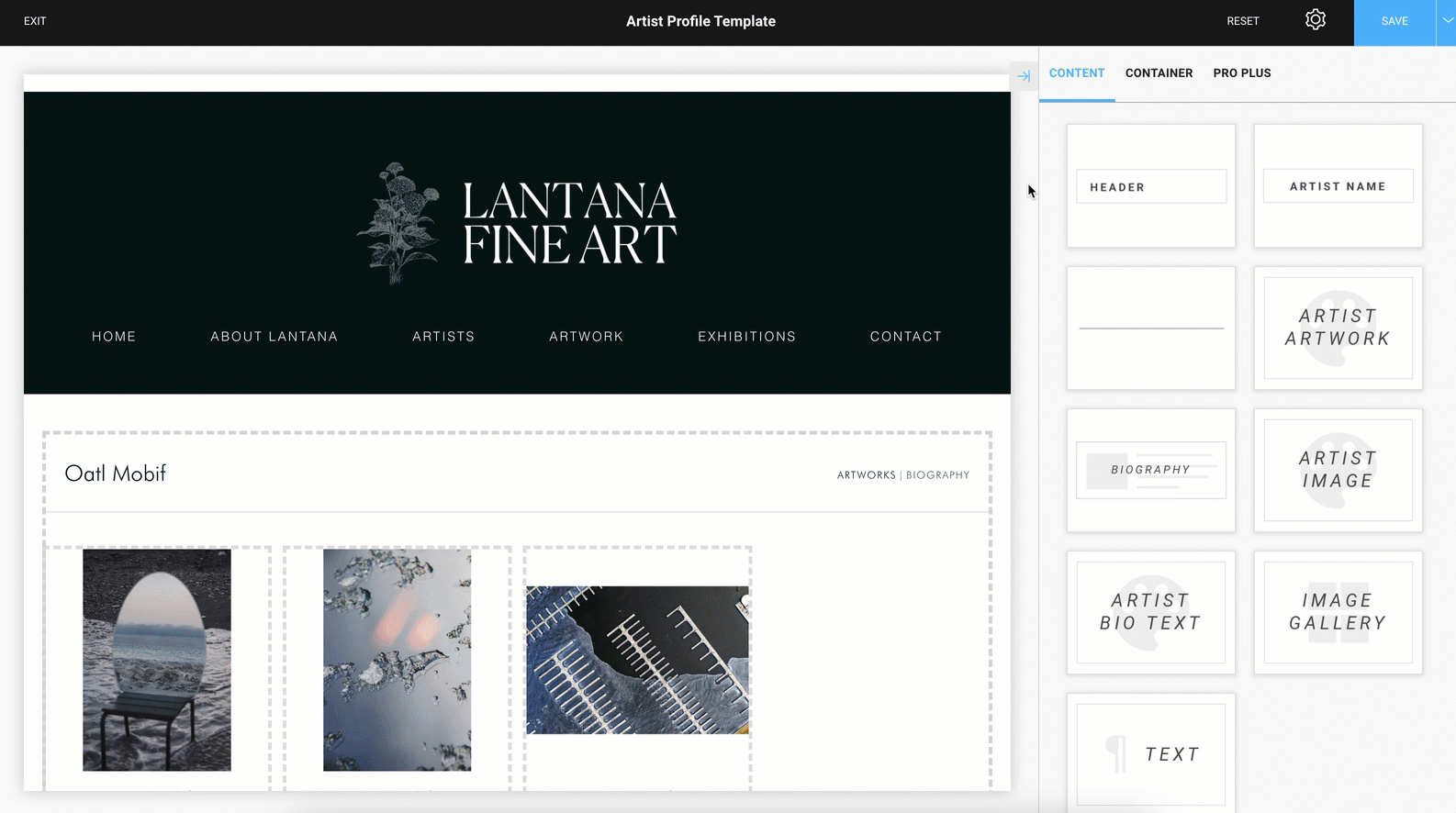 Artist Profile Page Template