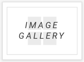 Artist Profile Page Template